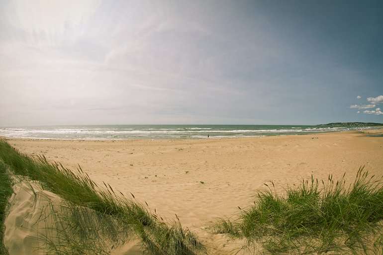 Halmstad Haverdal Lynga strand 13 - Sara Rönne