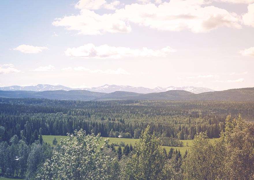 Njarka sameläger i Åre är värt ett besök